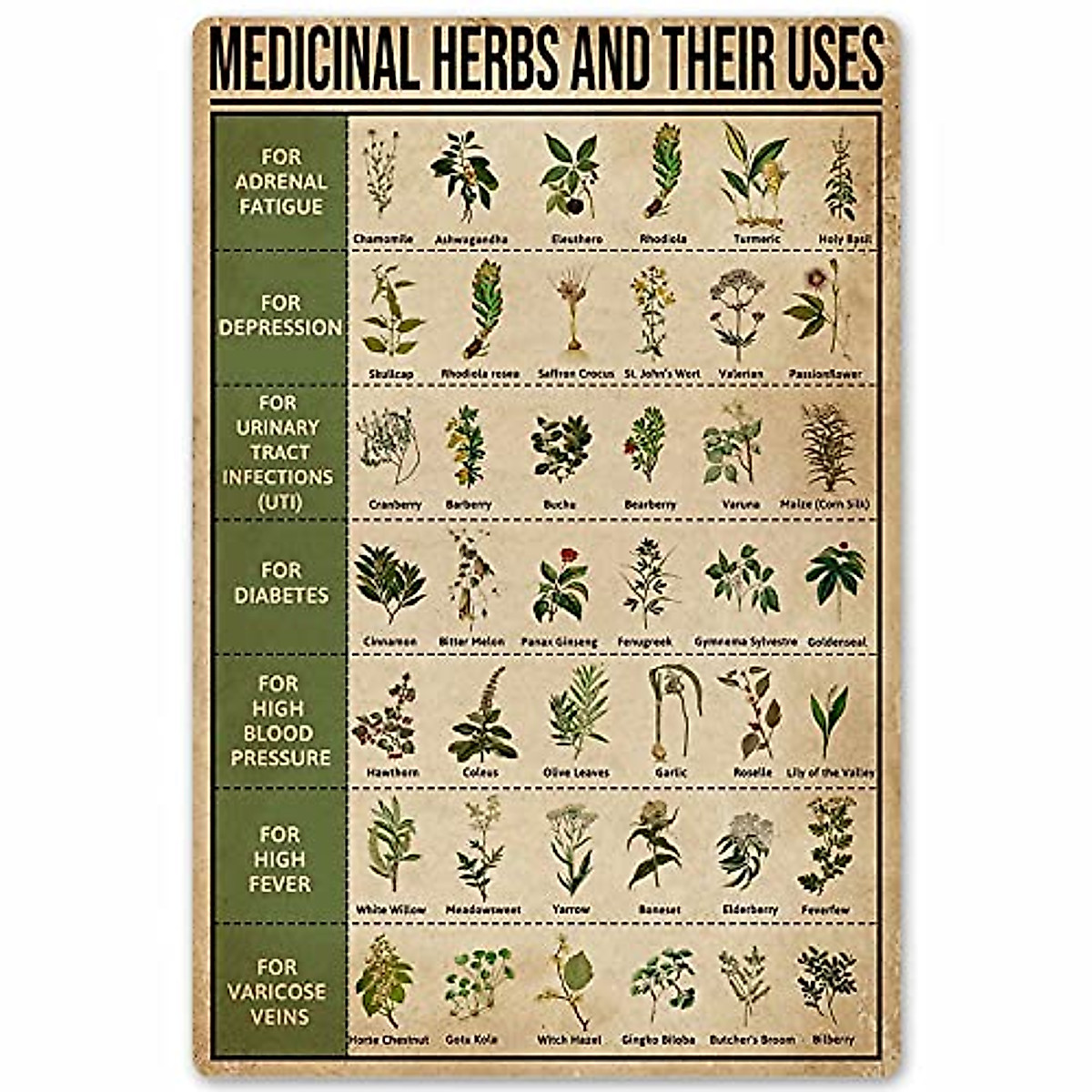 JIUFOTK Medicinal Herbs and Their Uses Posters Metal Signs Wall Decor Room Decor 8x12 Inches