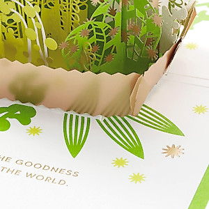 Hallmark Signature Paper Wonder Pop Up Thank You Card, Succulents (Nurses Day Card, Teacher Appreciation, Healthcare Worker Gift) (1299RZH1132)