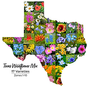 Created By Nature Texas Wildflower Seed Mix, Covers 325 Sq Ft, 17 Flower Varieties, Over 60,000 Seeds