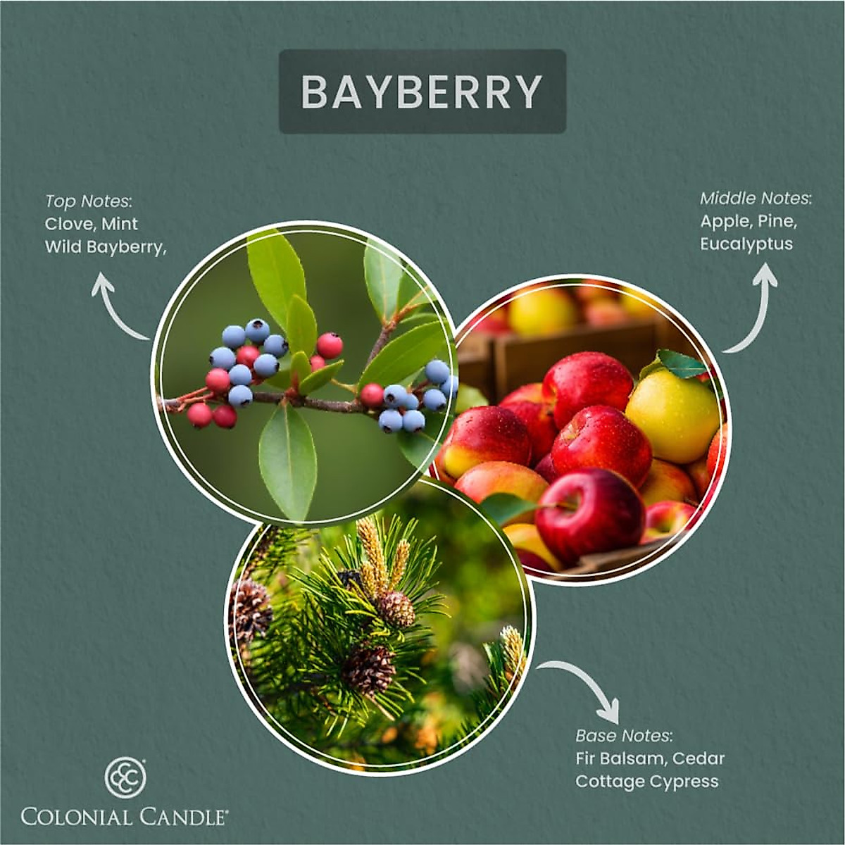 Colonial Candle Bayberry Scented Jar Candle, 2 Wick, 3.5 oz, Mottled Wax Candle