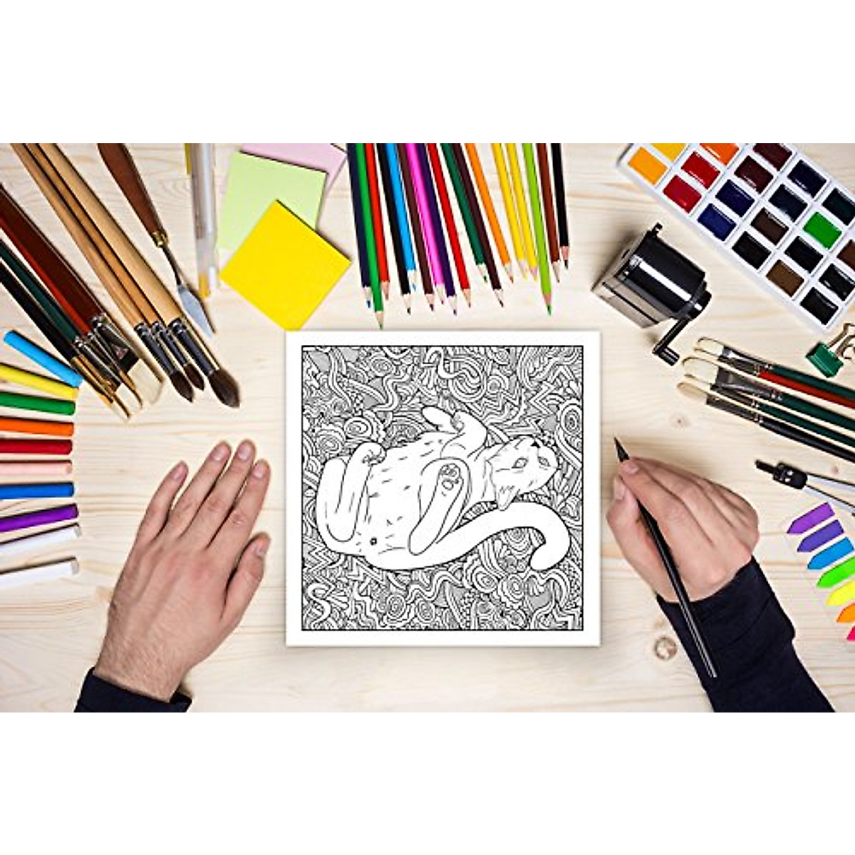 Cat Butt: An Off-Color Adult Coloring Book for Cat Lovers