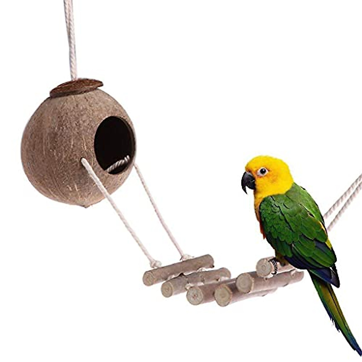TOLMIOW 9 Pieces Parrots Chewing Natural Wood and Rope Bungee Bird Toy for Anchovies, Coconut Hideaway with Ladder ,Bird Perch Stand, Bird Cage Accessories, Parakeets, Cockatiel, Conure, Mynah, Macow