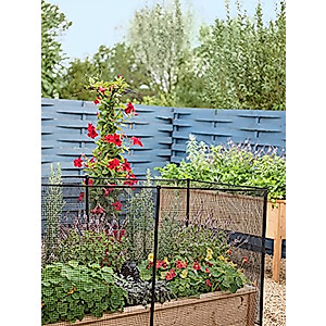 Tenax 62073039 Hardware Net, 3' x 25', Black