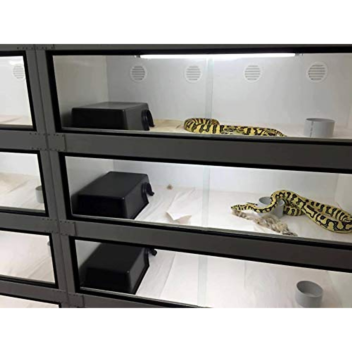 Leoterra Large Reptile Hide Snake Hide Reptile Hideout for Lizard Leopard Gecko Snakes and Ball Python Use Durable and Easy to Clean 10.23"x7.48"x2.75" (M)