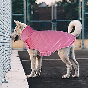 IECOii Dog Jacket for Cold Weather, Plush Pet Cotton-Padded Clothes for Autumn Winter, Pet Clothes with Adjustable Magic Sticker, Ultra Soft Pets Coat Vest for Cats and Small, Medium Dogs, Pink, L