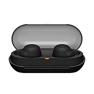 Sony WF-C500 Truly Wireless in-Ear Bluetooth Earbud Headphones (Black) Bundle with Foam and Silicone Earbud Tips (2 Items)