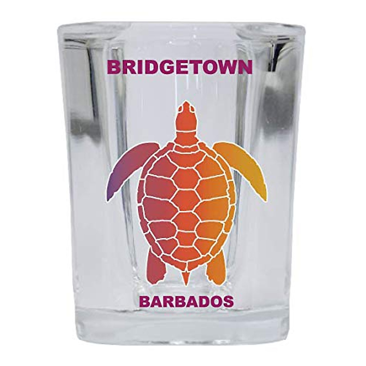 Bridgetown Barbados Souvenir Rainbow Turtle Design Square Shot Glass