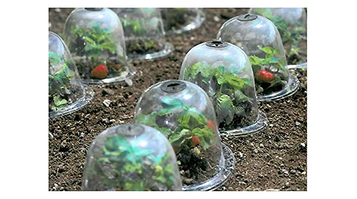 KiaoTime 10 Pack Reusable Plastic Greenhouse Plant Covers for Frost ...