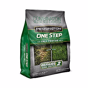 One Step Complete Tall Fescue 5lb. Grass Seed + Mulch + Fertilizer for Patch Repair
