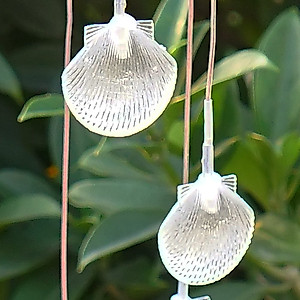 Clear Shell Color Changing LED Solar Mobile Wind Chimes, Solar Powered Wind Spinner Night Light Home Garden Yard Christmas Xmas Valentines Gift Decor