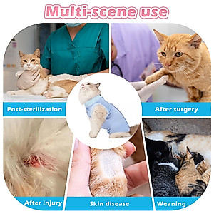 2Pack Cat Surgery Recovery Suit Clothes for Female and Male,Cat Onesie Shirts for Cat After Surgery,Cat Spay Surgical Recovery Suit Stop Licking Abdominal Wound,Cat Cone Collar Substitute-Pink&Blue,M