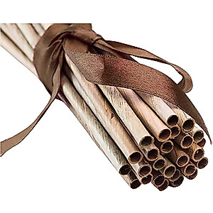 Dtocs 100 Pc. Elegant Bamboo Straw Look Coconut Leaf Disposable Straws | Long Unwrapped Biodegradable Smoothie, Cocktail, Coffee Compostable Straw Alternate to Wooden, Paper, Plastic & Reusable Straws