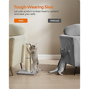 Feandrea Cat Scratching Post, 20.8-Inch Tall Cat Scratcher for Kittens, Small and Medium Cats, Sisal Scratch Pole, Spring Pompom with Built-in Bell, Dove Gray UPCA023G01