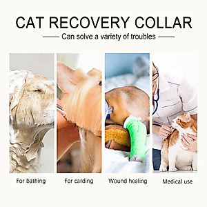 BCOATH Pets Elizabeth Circle Kitten Collars Pet Cat Recovery Collar Cat Recovery Collars & Cones Cat Recovery Neck Cone Cat Kitten Recovery Collar Cat Cone Pet Recovery Cone Rope