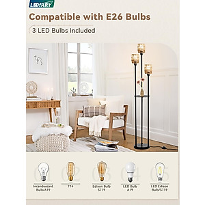 LEDIARY 65" Boho Floor Lamp for Living Room Rattan Floor Lamp with Shelves, 3 LED Bulbs Included Standing Lamp, Floor Lamp for Living Room, Bedroom, Office