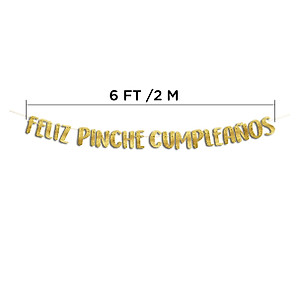 Feliz Pinche Cumpleaños Gold Glitter Banner, Spanish Happy Birthday Banner, Fiesta Mexican Themed Birthday Party Decorations