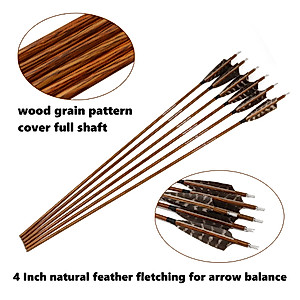 Archery Hunting Carbon Fiber Arrows, MS Carbon Fiber Arrow Spine 400 with Replacement Screw-in 100 Grain Points and 4 Inch Real Feather for Compound Bow Recurve and Long Bow 6 Pack (31inch)
