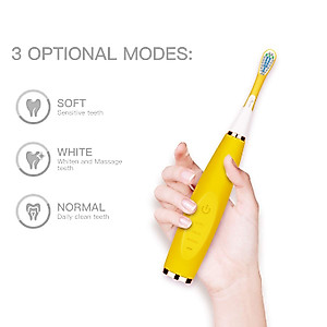 Aima Beauty Electric Toothbrush for Kids & Adults Powered Sonic Toothbrushes with Travel Case, Kinds Color of Rechargeable Whitening Tooth Brush with 2 Soft Bristles (Yellow)
