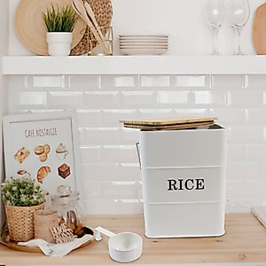Gdfjiy Rice Container Metal Rice Storage Bin, Rice Storage Box with Airtight Bamboo Lid & Scoop, Food Storage Container for Rice Flour Soybean Grain Cereal (Cream White)