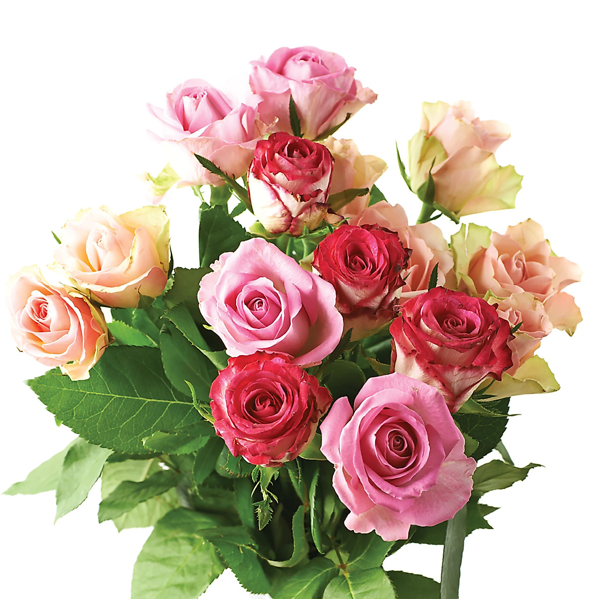 Jobe’s, 04102, Fertilizer Spikes, Rose, Includes 10 Spikes, 16 ounces, Brown