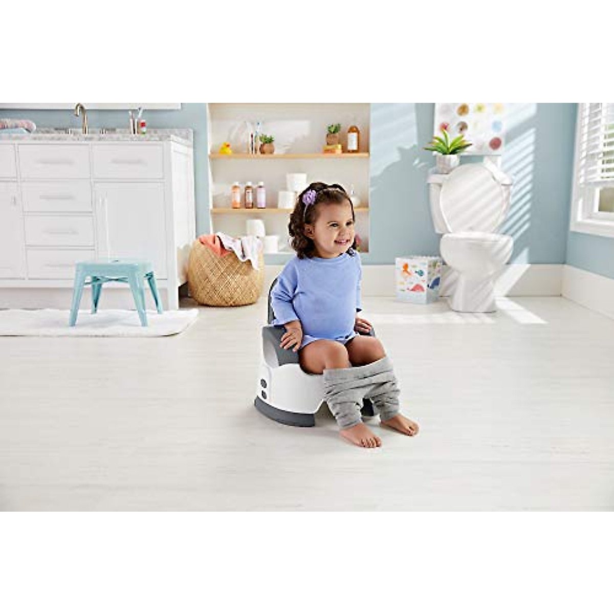 Fisher Price Custom Comfort Potty