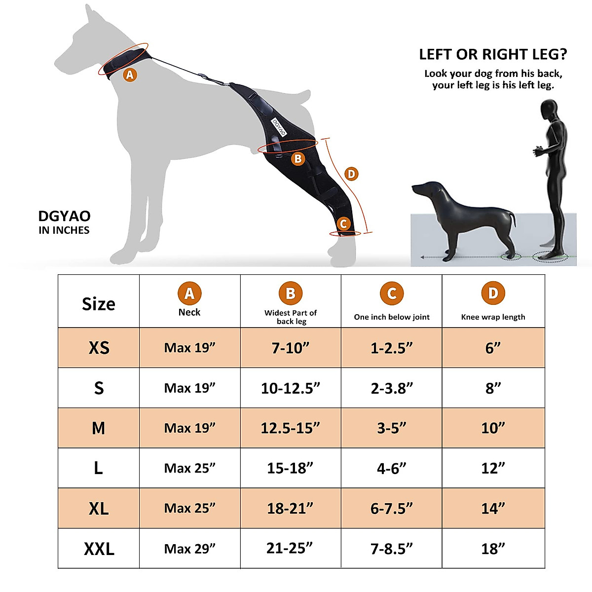 DGYAO Dog Knee Brace for ACL, Knee Cap Dislocation, Arthritis - Full Wrap - Easy Adjustable - Extra Support - Reduces Pain and Inflammation – Full Sizes