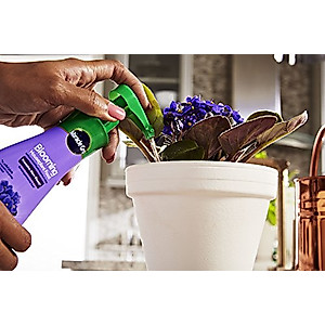 Miracle-Gro Blooming Houseplant Food, 8 oz., Plant Food Feeds All Flowering Houseplants Instantly, Including African Violets