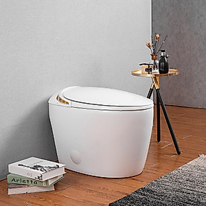 BWE Smart Toilet With Bidet Built In, One-piece Bidet Toilet Seat, Auto Flush, Auto Open & Auto Close,Heated Seat, Warm Water and Dry, Wireless Remote Control