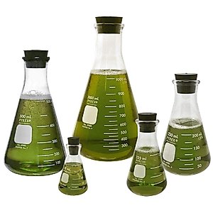 Corning Pyrex #4980-PACK(RS), Narrow Mouth Erlenmeyer Flask Set with Rubber Stoppers, 5 Sizes - 50, 125, 250, 500, 1000ml