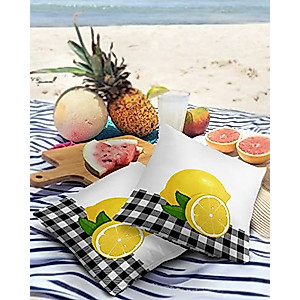 Vandarllin Outdoor Throw Pillows Covers 18X18 Set of 2 Waterproof Lemon Summer Fruit Decorative Zippered Lumbar Cushion Covers for Patio Furniture, Black White Buffalo Check Plaid