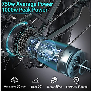 DAMSON 1000W Electric Bike Ebike for Adult 48V 20AH Removable Battery 26"X4"Fat Tire up to 30MPH &75 Miles Long Range Off Road Beach Mountain Electric Bicycle with Dual Hydraulic Disc Brakes