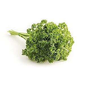 Triple Curled Parsley Seeds for Planting, 300+ Seeds Per Packet, (Isla's Garden Seeds), Non GMO & Heirloom Seeds, Botanical Name: Petroselinum crispum, Great Herb Garden Gift