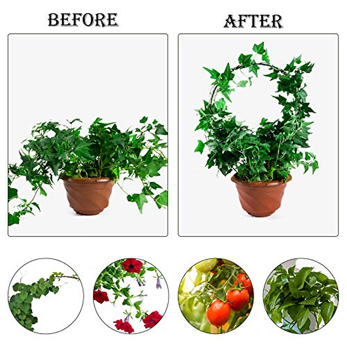 2 Pack Black Iron Garden Trellis for Climbing Plants- 13" Rust Free Vine Plant Metal Support Wire with Black Coating Decorative Potted Plants Climbing Holder Rack for Garden Stem Stalks Vines (Round)