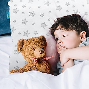 Toddler Pillow with Pillowcase (13 x 18), Toddler Pillows for Sleeping, Machine Washable Soft Travel Pillow, Toddler Use Only, Age 2 (Gray Star)