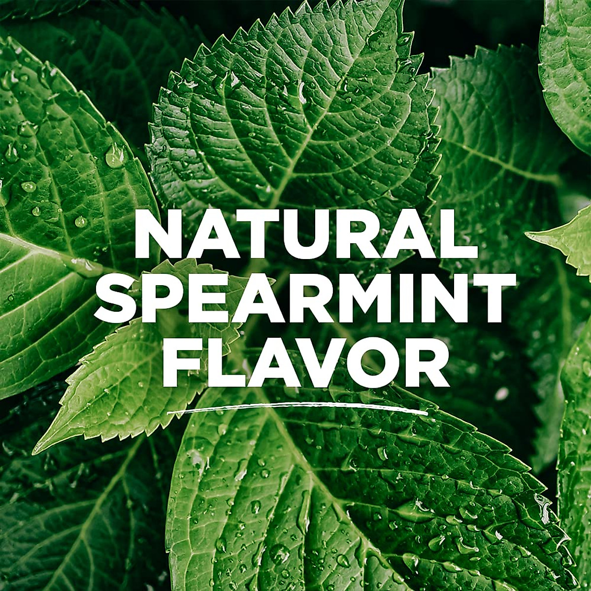 Tom's of Maine Naturally Waxed Antiplaque Flat Dental Floss, Spearmint, 32 Yards 6-Pack (Packaging May Vary)