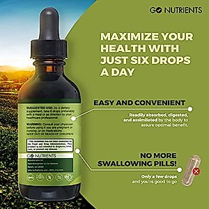 Go Nutrients Selenium 200 mcg Supplement, Yeast-Free Liquid Drops, Selenium Drops, Herbal Supplements with Trace Mineral Selenium and Purified Water, Selenium Liquid - 1.0 oz Bottle