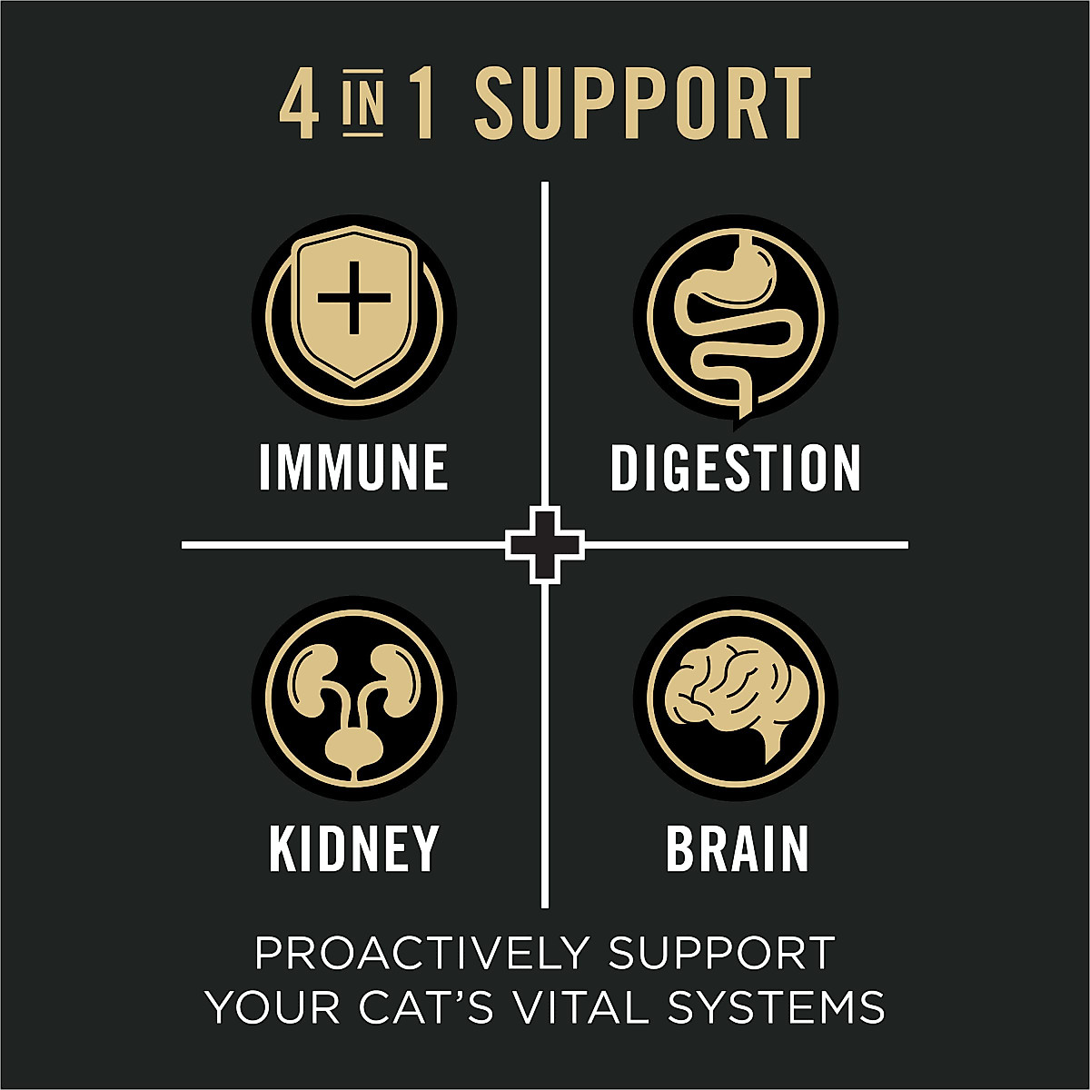 Purina Pro Plan Vital Systems Salmon and Rice Formula Senior Cat Food Dry 4-in-1 Formula - 3 lb. Bag