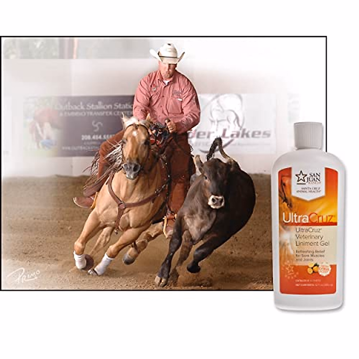 UltraCruz - sc-516110 Veterinary Liniment Gel for Horses, 12 oz