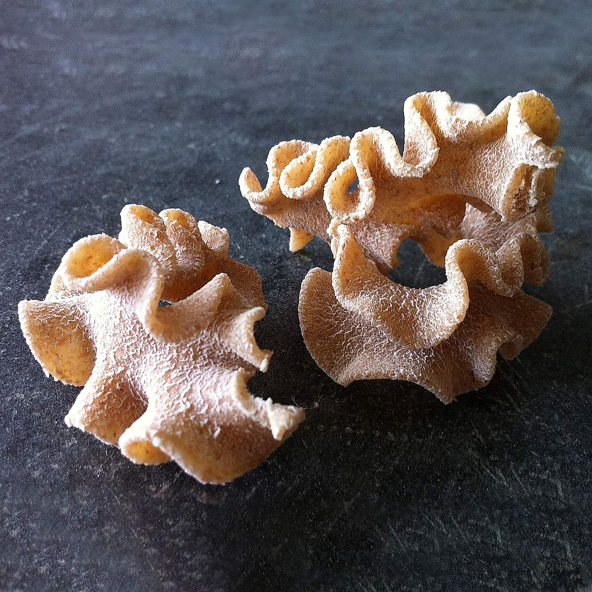 Sfoglini Organic Whole Grain Reginetti Pasta, 12 Ounce, (Pack of 4)