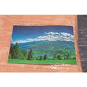 Clear Vinyl Zippered Storage Bags 12 x 15 x 5 Inch 10-Pack