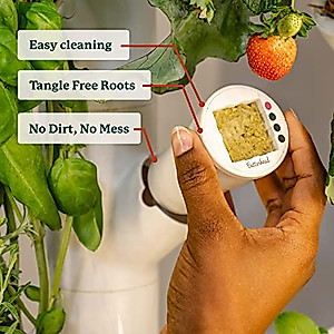 Gardyn 2.0 Hydroponics Growing System Indoor Garden Vertical Garden Planter | 30 Non-GMO Indoor Plants, Herbs & Vegetables Indoor Gardening System - LED Grow Lights | No Soil, Grow Tent or Green House