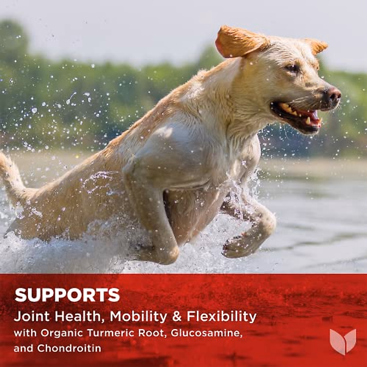 Hyland's Naturals - Dogs - Max Mobility, 90 Soft Chews, Supports Joint Health, Mobility & Flexibility, with Organic Turmeric Root, Glucosamine & Chondroitin, BBQ Chicken Flavor