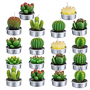 Cactus Tealight Candles(18 Pcs Gift Boxed), Artificial Succulents Decorative Tea Light Candles ,Perfect for Birthday Wedding Party Home Decor