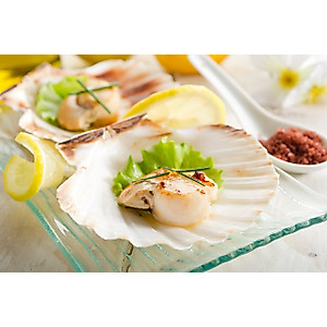 Maine Man Natural Baking Shells, 4-Inches, Set of 12