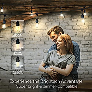 Brightech Ambience Pro - Waterproof LED Outdoor String Lights - 7 Hanging, 2W Dimmable Vintage Edison Bulbs, 24 Ft Commercial Grade Patio Lights Create Cafe Christmas Ambience in Your Backyard