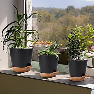 Whonline 6 Pack Self Watering Pots 8/7/6.5/ Inch Plastic Plant Pots Bottom Watering Plant Pots with Saucer Reservoir and Watering Lip for Indoor Outdoor Flowers Plants Windowsill