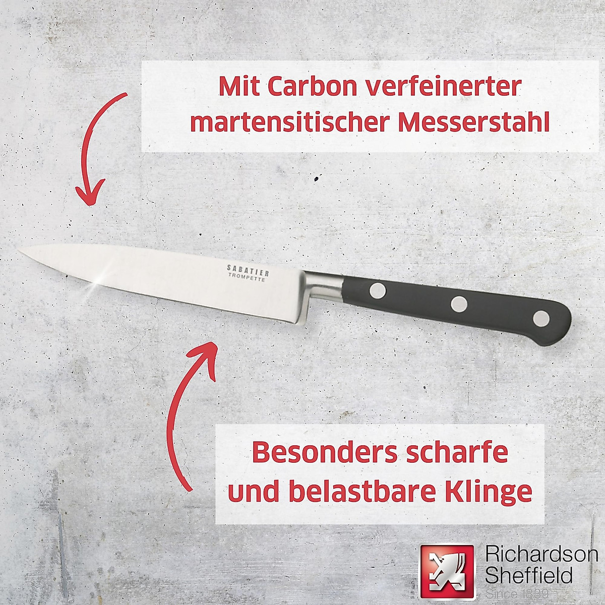 RICHARDSON SHEFFIELD R08000P101116 Sabatier Trompette All Purpose Knife, Silver