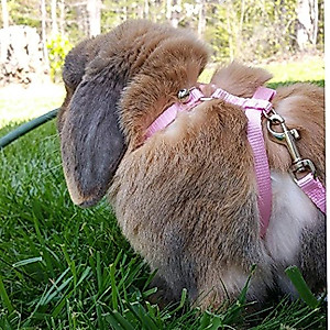 Rabbit Bunny Harness with Leash Adjustable Soft Nylon Harness Rabbit Vest Harness Lead Leash Pink Blue Lead Leash All Season for Small Animals (Pink)