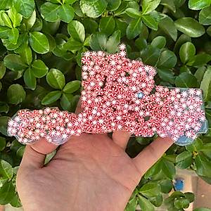 (300 Design Optional) MUBYOK M346 Truck Silicone Freshie Mold for Baking Aroma Beads Car Freshie Supplies