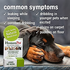 HomeoPet Leaks No More, Urinary Incontinence Relief for Pets, 15 Milliliters